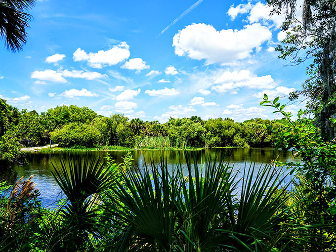 Florida's postcard-perfect wilderness awaits at Myakka, where palm fronds frame waters so serene they look Photoshopped. Mother Nature showing off again.