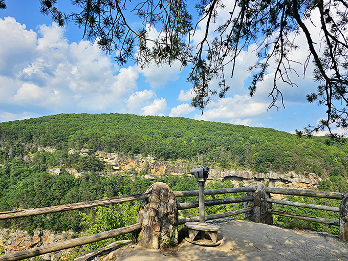 Nature's grand theater unfolds at the main overlook, where a rustic wooden railing is all that stands between you and Georgia's most jaw-dropping canyon vista.