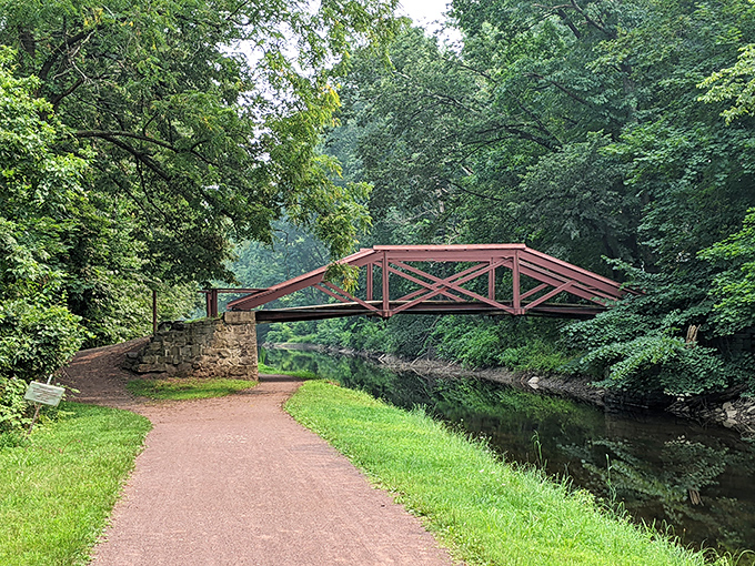 The iconic red bridge creates a perfect postcard moment. Nature's frame for your next profile picture, no filter needed.
