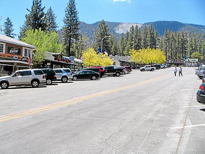 Wrightwood's winter wonderland offers a perfect backdrop for both ski enthusiasts and those who simply appreciate nature's snowy canvas.