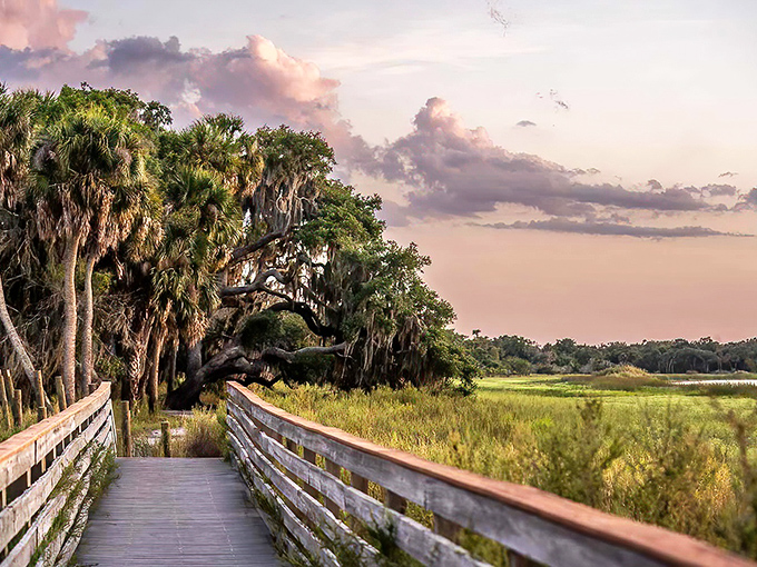 Florida's postcard-perfect wilderness awaits at Myakka, where palm fronds frame waters so serene they look Photoshopped. Mother Nature showing off again.