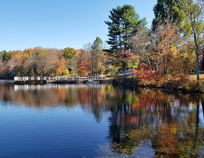 A wooden bench invites contemplation beside Tobyhanna Lake's shimmering waters. Nature's version of front-row seats to Pennsylvania's most peaceful show.