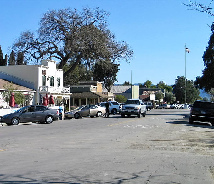 Historic buildings and towering oak trees create Los Olivos' postcard-perfect main street. Small-town charm with big-time character.