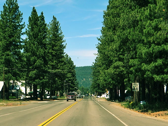 Chester's main drag welcomes you with towering pines standing like nature's honor guard. Small-town charm with big-time scenery &ndash; California's best-kept secret.