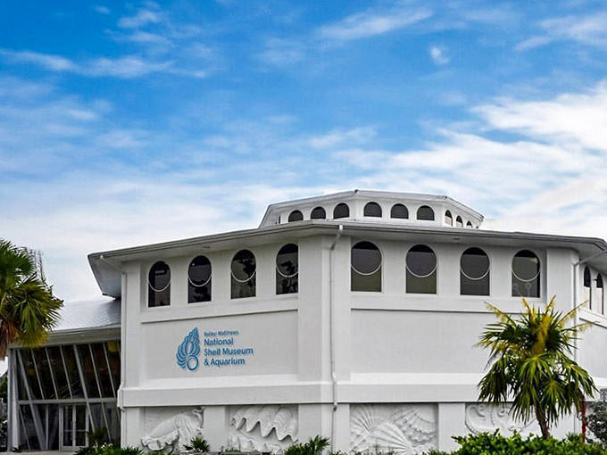 The Bailey-Matthews National Shell Museum stands like a gleaming pearl against Sanibel's blue sky, its distinctive architecture hinting at the treasures within.