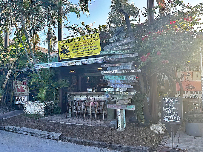 That thatched roof and Phillips 66 sign combo screams "authentic Florida Keys" louder than any tourist brochure ever could.
