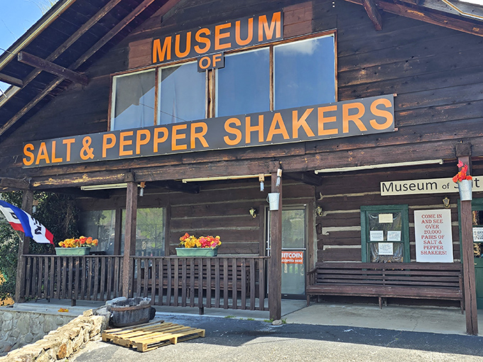 The rustic log cabin exterior belies the seasoned treasures within. Who knew condiment dispensers could warrant their own museum in the Smoky Mountains?
