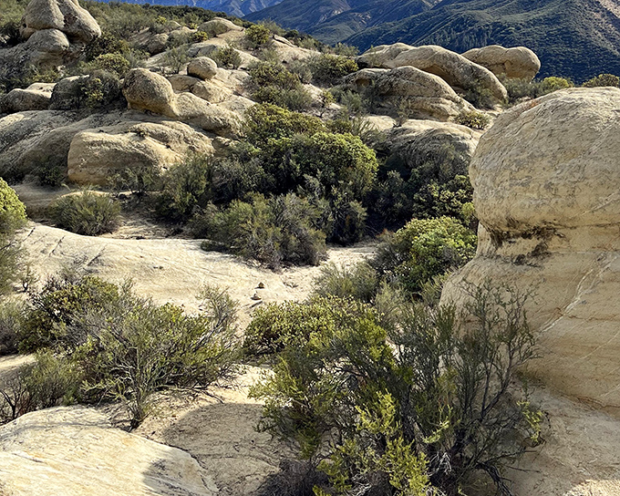 Nature's sculpture garden awaits at Piedra Blanca, where these magnificent white sandstone formations have been patiently perfecting their poses for millennia.