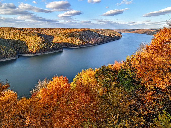 Nature's masterpiece unfolds in Pennsylvania's only national forest, where half a million acres await your discovery.