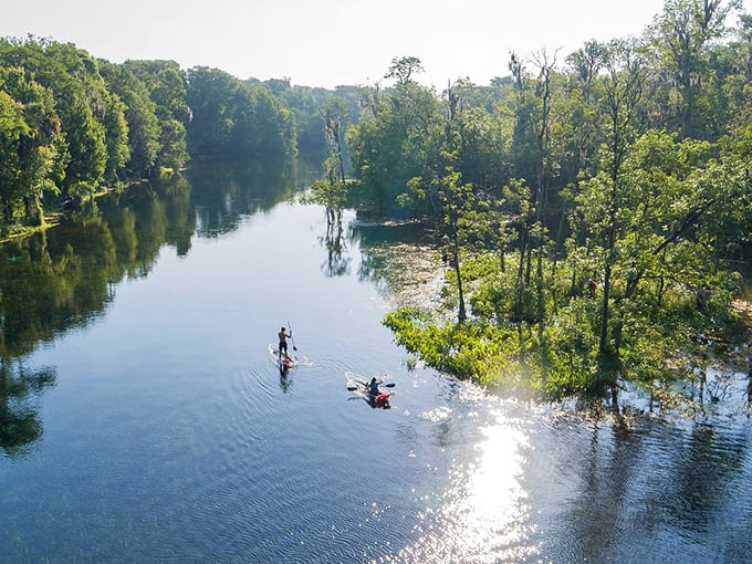 Paddleboarding through Silver Springs feels like gliding across nature's mirror &ndash; where the sky meets water and time slows to the perfect vacation pace. 