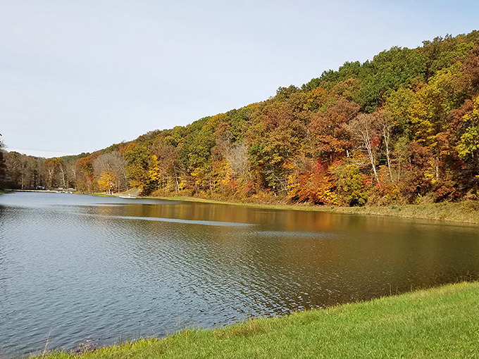 Mirror, mirror on the lake! Pine Lake's glass-like surface perfectly reflects Ohio's rolling hills, creating nature's most spectacular double feature.