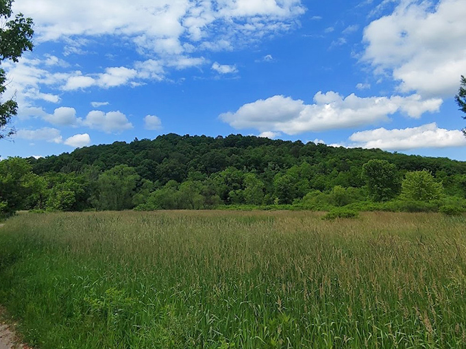 Mirror-like waters reflect Ohio's hidden masterpiece. Salt Fork Lake's tranquil surface invites you to forget your inbox exists and remember what vacation feels like.