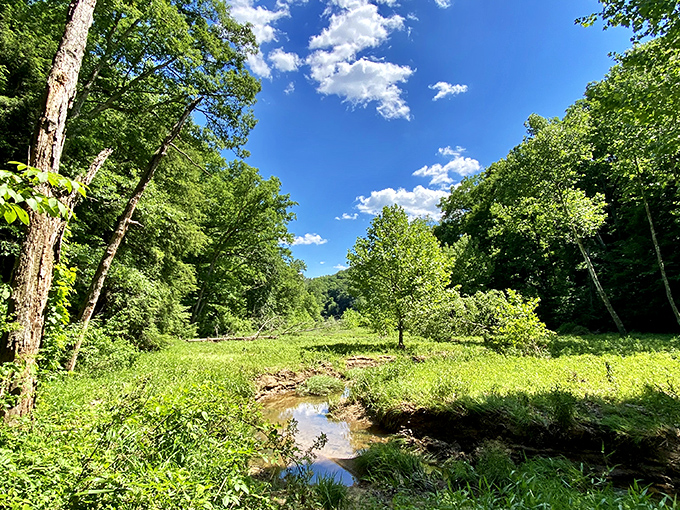 Soak in the peaceful beauty of Lake Hope State Park&mdash;lush greenery, blue skies, and a perfect escape into nature.