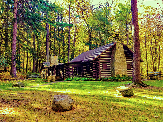 The rustic log cabin nestled among towering trees looks like it jumped straight out of a Thoreau daydream. Nature's five-star accommodations!