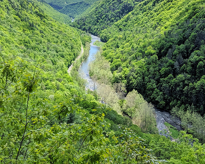 Nature's masterpiece unfolds below you &ndash; Pine Creek carving its way through endless green, like an artist who's been working on the same canvas for millions of years.