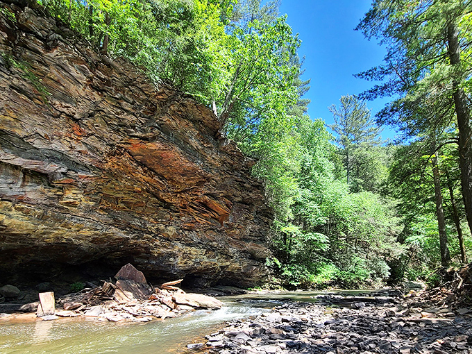 Nature's architecture on full display. The rugged sandstone cliffs of Trough Creek create dramatic backdrops that make amateur photographers look like professionals.
