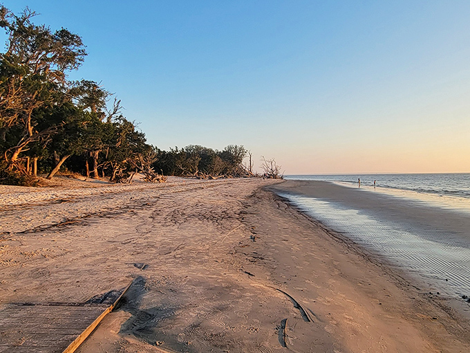 Golden hour transforms St. Andrew's Beach into nature's masterpiece. The weathered driftwood stands sentinel as gentle waves kiss the shore.