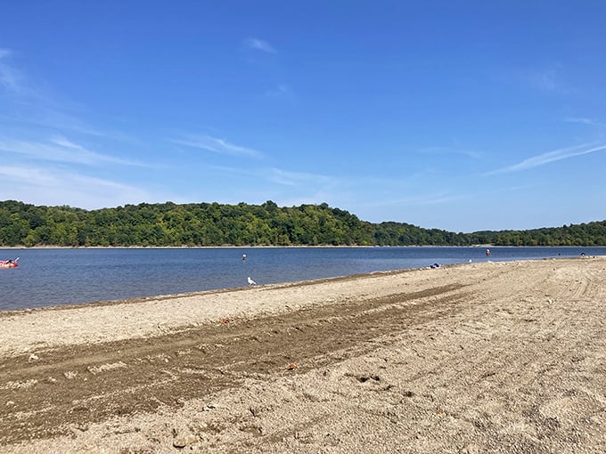 Nature's perfect framing: a solitary tree stands sentinel over East Fork's sandy shores, where lake meets sky in a quintessential Midwestern panorama.