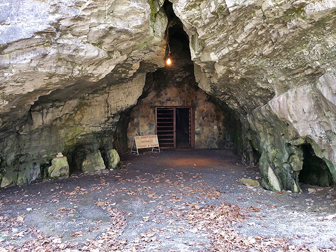 Nature's grand entrance hall welcomes you with limestone walls that have been perfecting their hospitality for millennia.