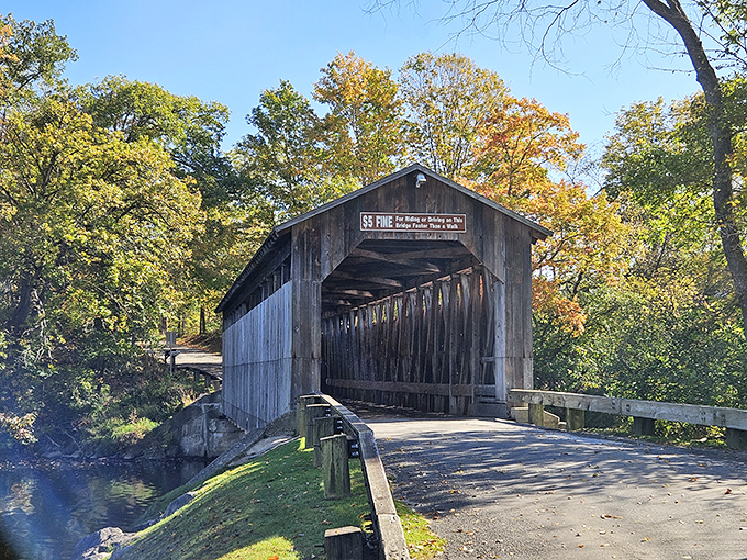 Time stands still at Fallasburg Covered Bridge, where weathered gray boards have witnessed Michigan history unfold for nearly 150 years, spanning the peaceful Flat River.