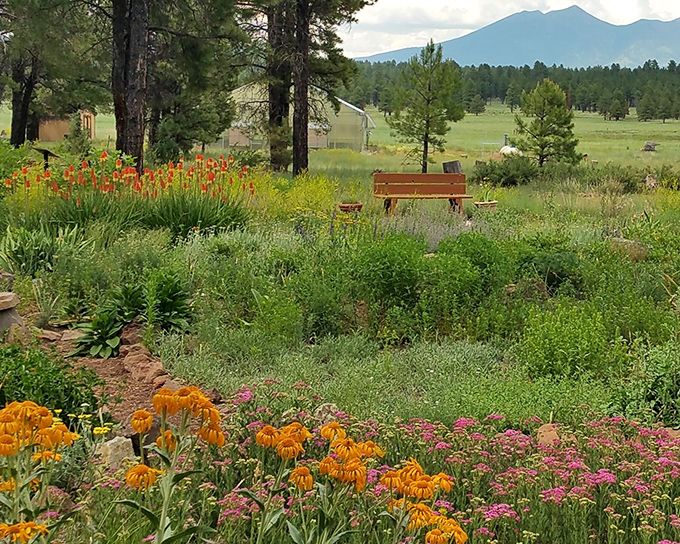 Where wildflowers meet mountain majesty &ndash; this garden bench offers front-row seats to nature's greatest show.