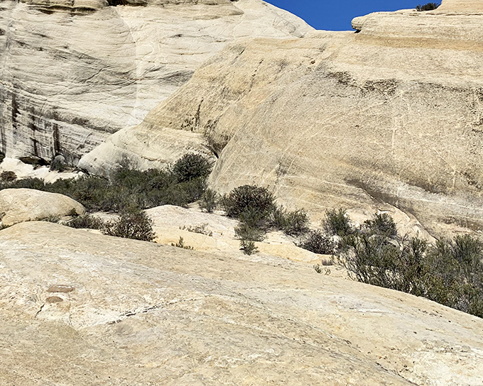 Nature's sculpture garden awaits at Piedra Blanca, where these magnificent white sandstone formations have been patiently perfecting their poses for millennia.