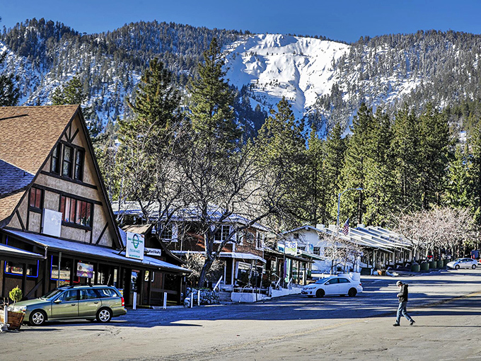 Wrightwood's winter wonderland offers a perfect backdrop for both ski enthusiasts and those who simply appreciate nature's snowy canvas.