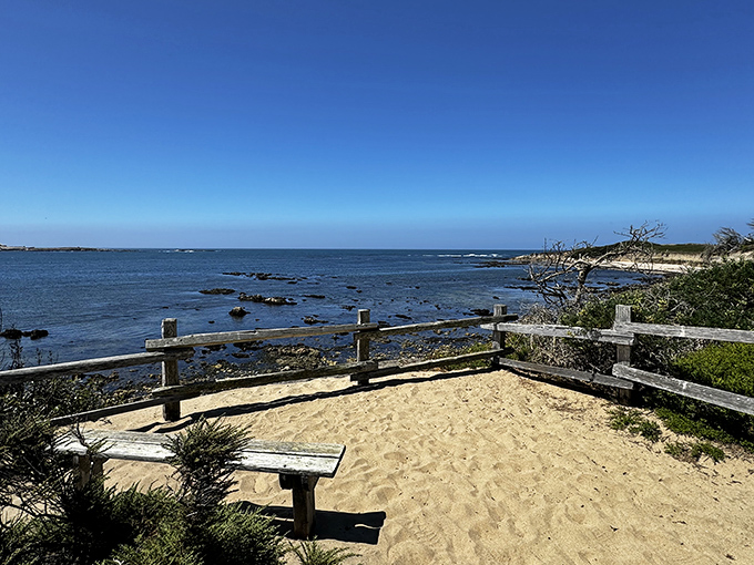 A wooden bench perched at nature's theater box, offering front-row seats to the Pacific's endless blue performance.