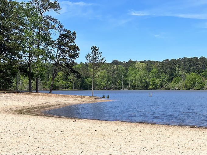 Lake Rutledge offers nature's perfect mirror, reflecting Georgia's towering pines with such precision you might accidentally apply sunscreen to your upside-down twin.