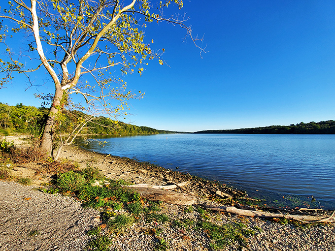 Acton Lake's shoreline offers a moment of perfect tranquility. That impossibly blue water against the golden shore makes you forget deadlines even exist.