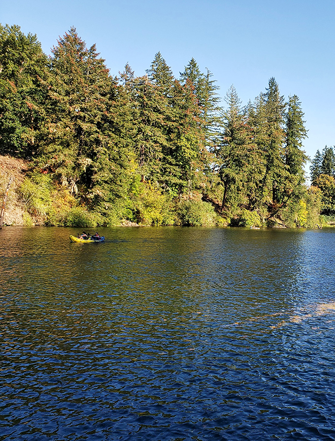 Nature's own private screening room, where the only admission fee is your willingness to slow down.