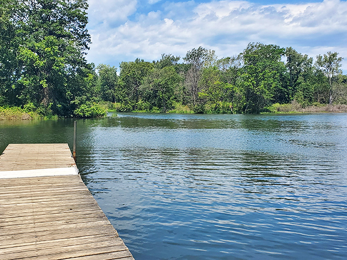 Nature's boardwalk beckons like a wooden invitation to serenity, where lake meets forest in perfect harmony.
