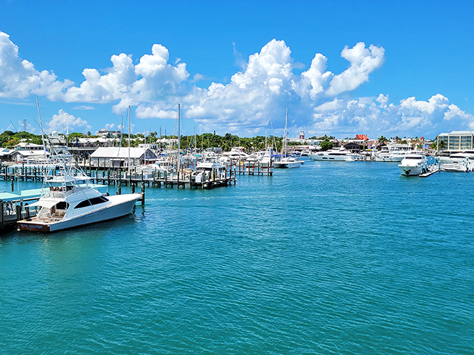 Harbor life in Key West hits different&mdash;gleaming yachts, that iconic red building, and water so impossibly turquoise it looks Photoshopped by Mother Nature herself.