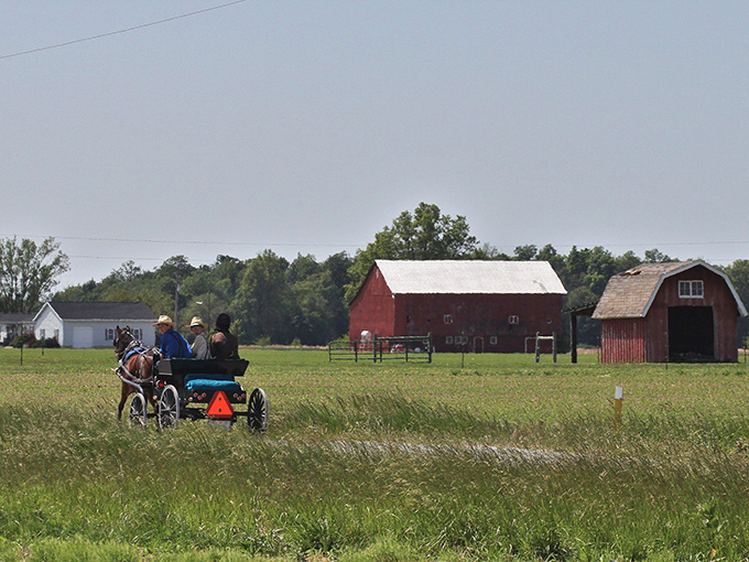 Where horse-drawn buggies and historic storefronts collide &ndash; Berne's main street offers a glimpse into a simpler time while vibrant flower displays add splashes of color.