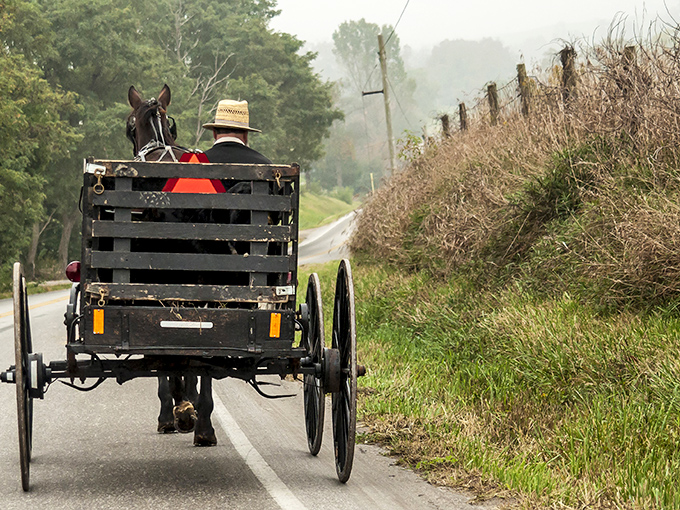 The quintessential Amish Country postcard moment: a horse-drawn buggy disappearing into morning mist, reminding us that some commutes are worth savoring.