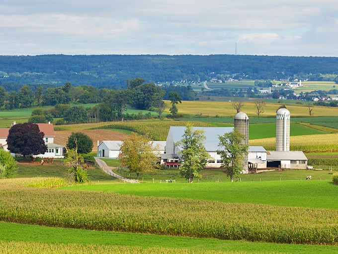 Amish country unfolds like a patchwork quilt&mdash;fields of gold, green, and amber stretching toward rolling hills, with classic white barns standing sentinel under impossibly blue skies.