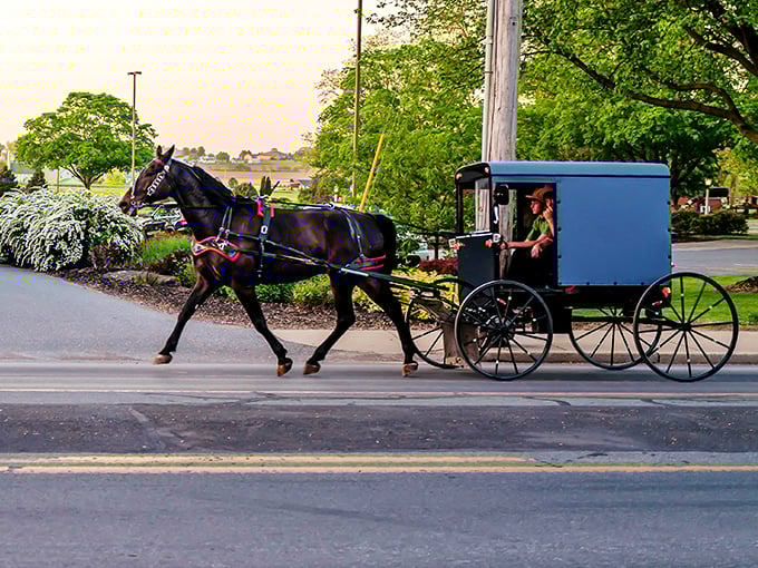 The quintessential Amish experience: a horse-drawn buggy clip-clopping through Lancaster County. Modern life's traffic jams suddenly seem less appealing.