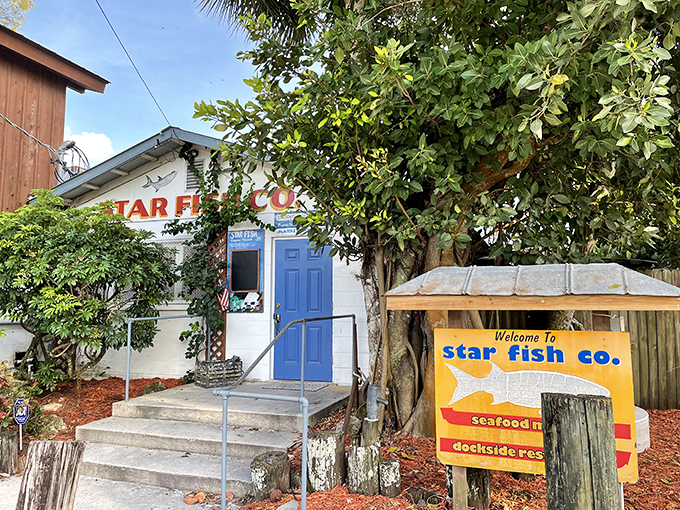 The unassuming entrance to Star Fish Co. proves once again that in Florida, the best seafood often hides behind the simplest facades.