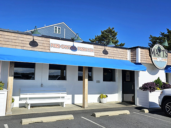 The blue-gray exterior of Matt's Fish Camp beckons like a coastal lighthouse for the hungry, promising seafood treasures within those weathered walls.