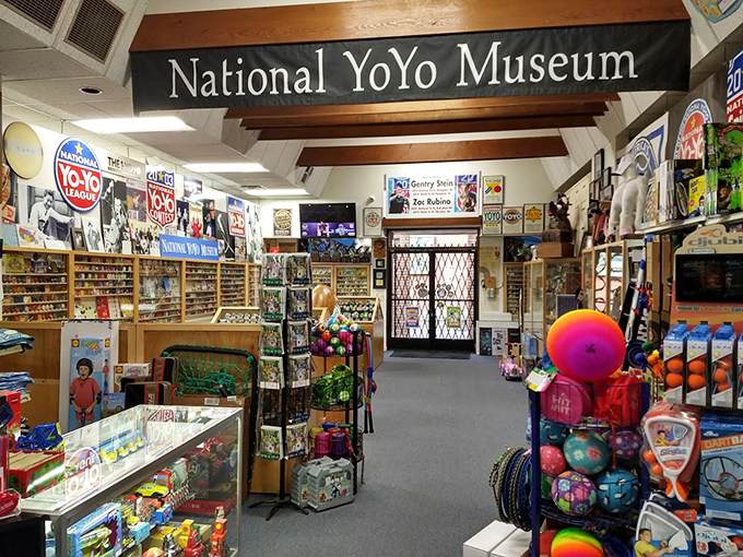 Big Yo stands proudly at center stage, a wooden giant among its tiny relatives. The world's largest wooden yo-yo commands attention like a celebrity at its own premiere.