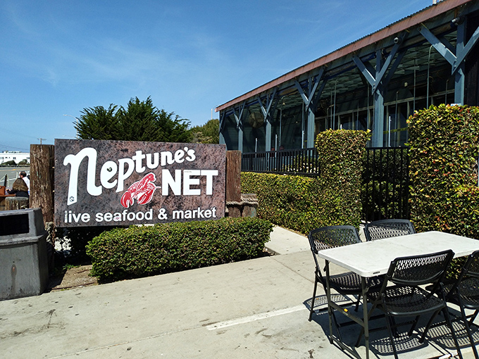 Neptune's Net stands proudly against the Malibu sky, a seafood sanctuary where the Pacific Coast Highway meets culinary paradise.
