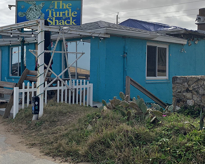The little blue shack that could! Turtle Shack's unassuming exterior hides culinary treasures that have locals forming lines and visitors making detours.