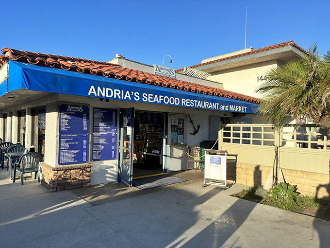 Andria's unassuming exterior proves that the best treasures often come in simple packages.