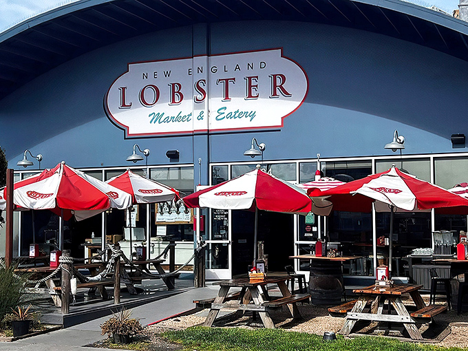 The blue building with vibrant red umbrellas isn't trying to be subtle &ndash; it's proudly announcing that your lobster fantasies are about to come true.