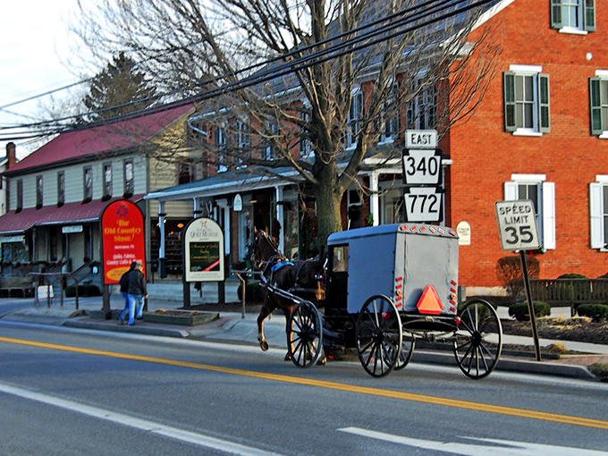 Horse-drawn buggies sharing the road with modern traffic - it's like watching history and today shake hands.