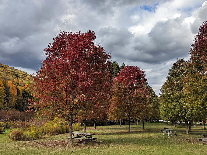 Fall's fiery display at Bendigo creates nature's perfect postcard. Those picnic tables aren't just sitting there &ndash; they're waiting for your sandwich masterpiece.
