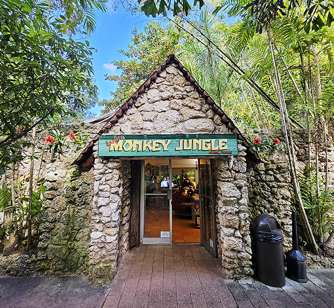 The stone entrance to Monkey Jungle looks like something Indiana Jones would discover right before the boulder chase scene begins. 