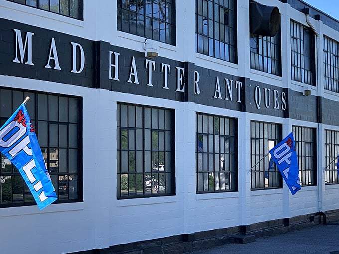 The iconic white facade of Mad Hatter Antiques stands like a time portal in Adamstown, beckoning treasure hunters with its bold black lettering.