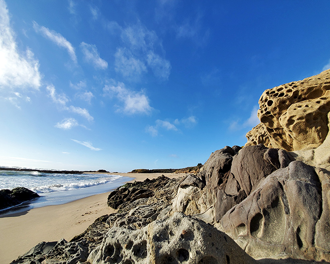 Nature's perfect canvas: Bean Hollow's pristine shoreline stretches out like a secret California promise, with rock formations that tell geological stories millions of years in the making.