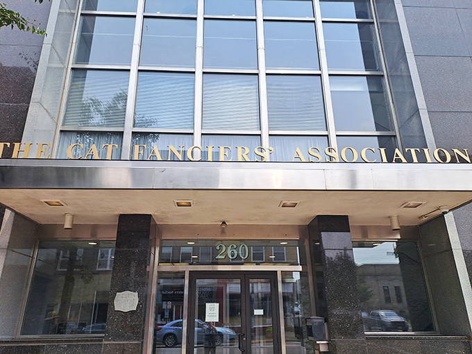 The sleek exterior of The Cat Fanciers' Association headquarters in Alliance gives little hint of the whisker-filled wonders waiting inside.